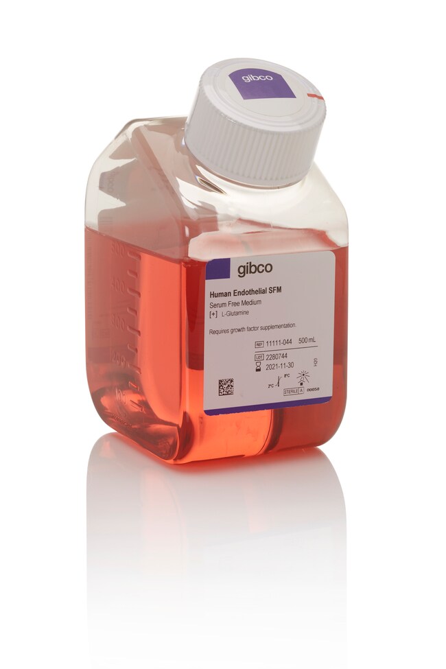人内皮 SFM 500 mL | Buy Online | Gibco™ | thermofisher.cn